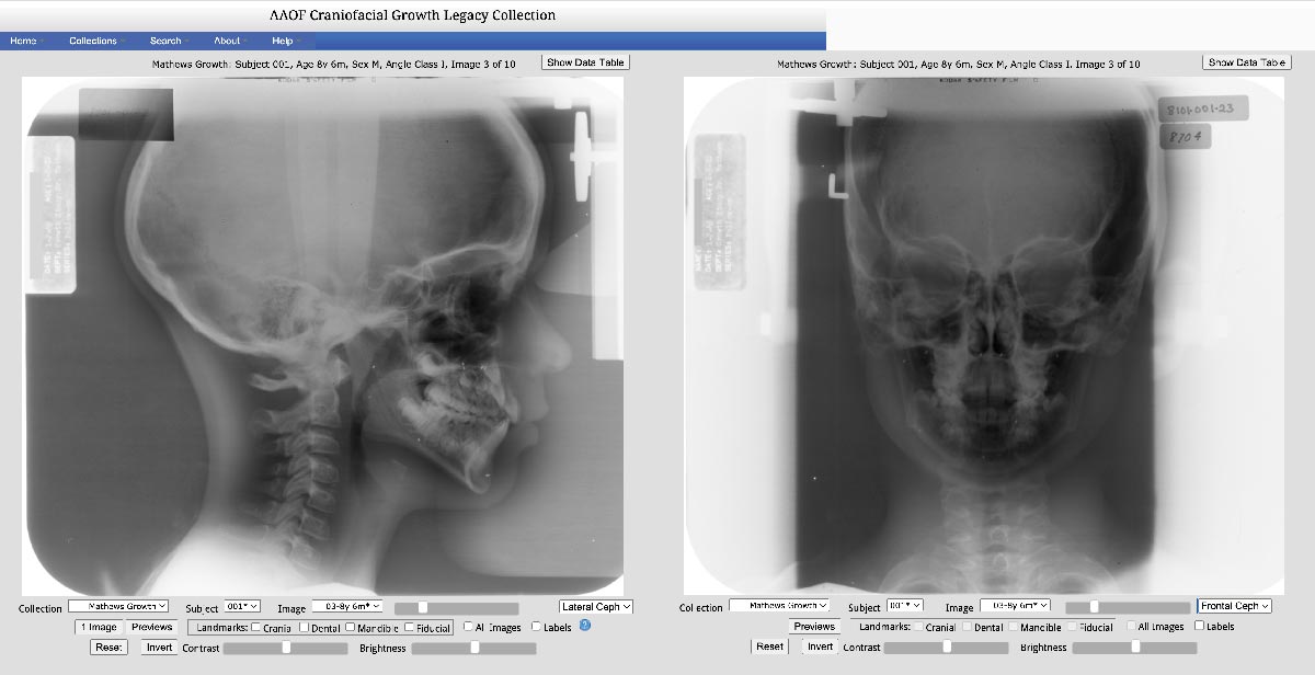 Current Issue – Contact Point